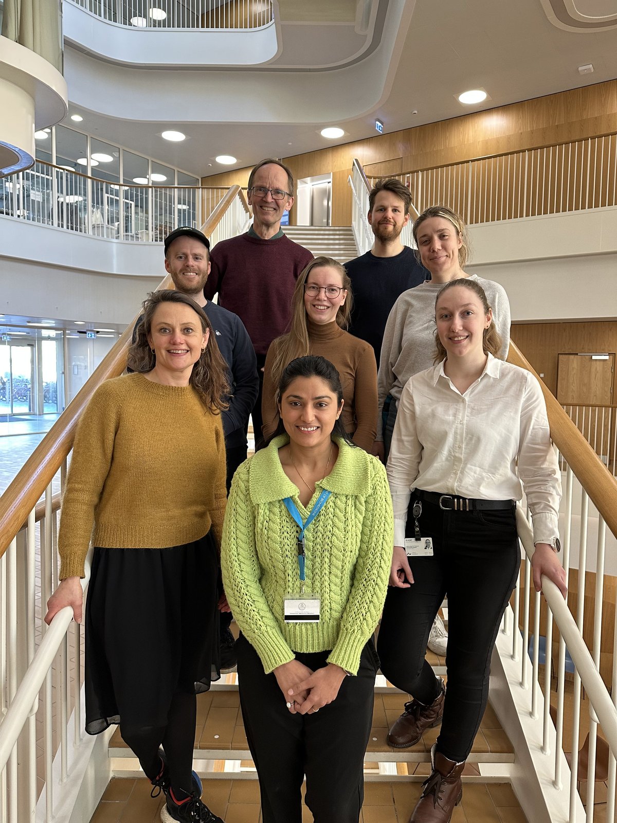 A fully funded PhD position available in Jensen Lab